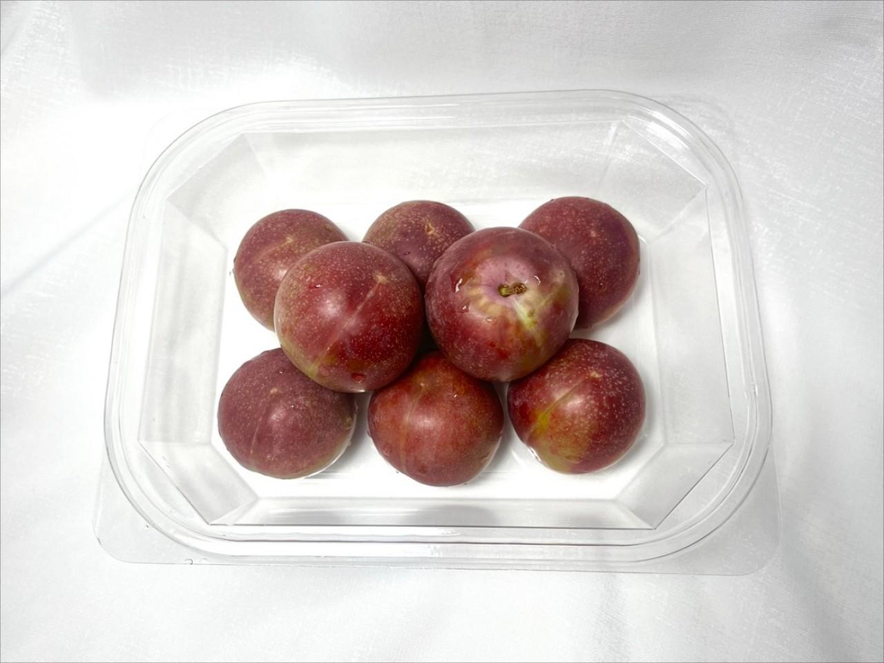 희귀신품종 이쿠미 자두 500g 비컷팅 배민 장보기∙쇼핑