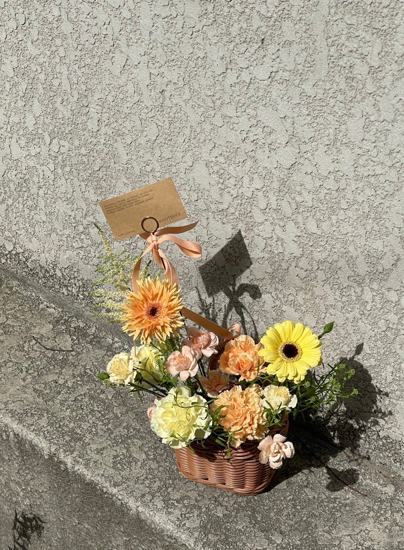 쁘디 바스켓 배민 장보기∙쇼핑