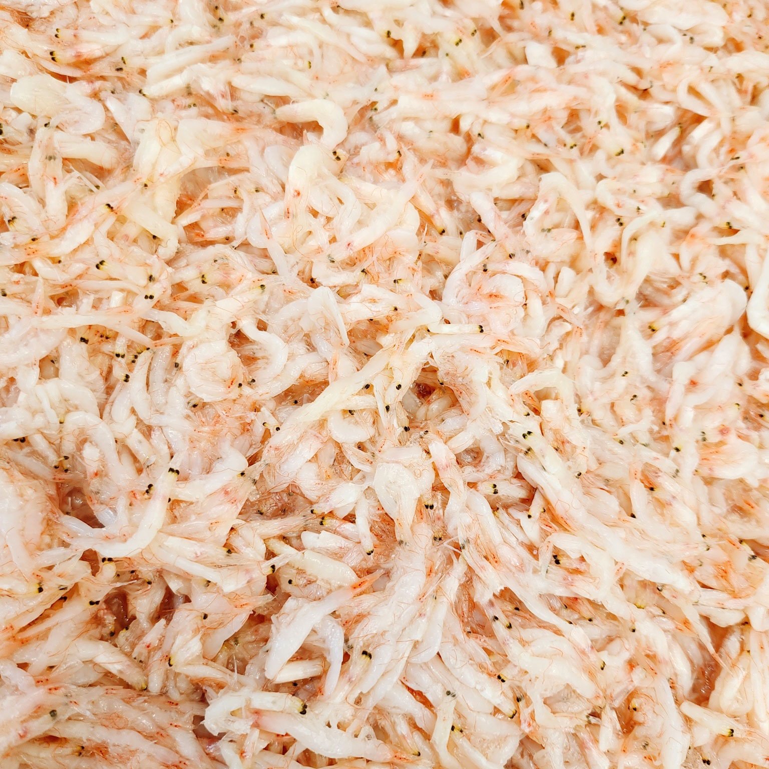 깔끔하고 맛좋은 국내산 새우젓 추젓 500g 한민 중앙젓갈 배민 장보기∙쇼핑