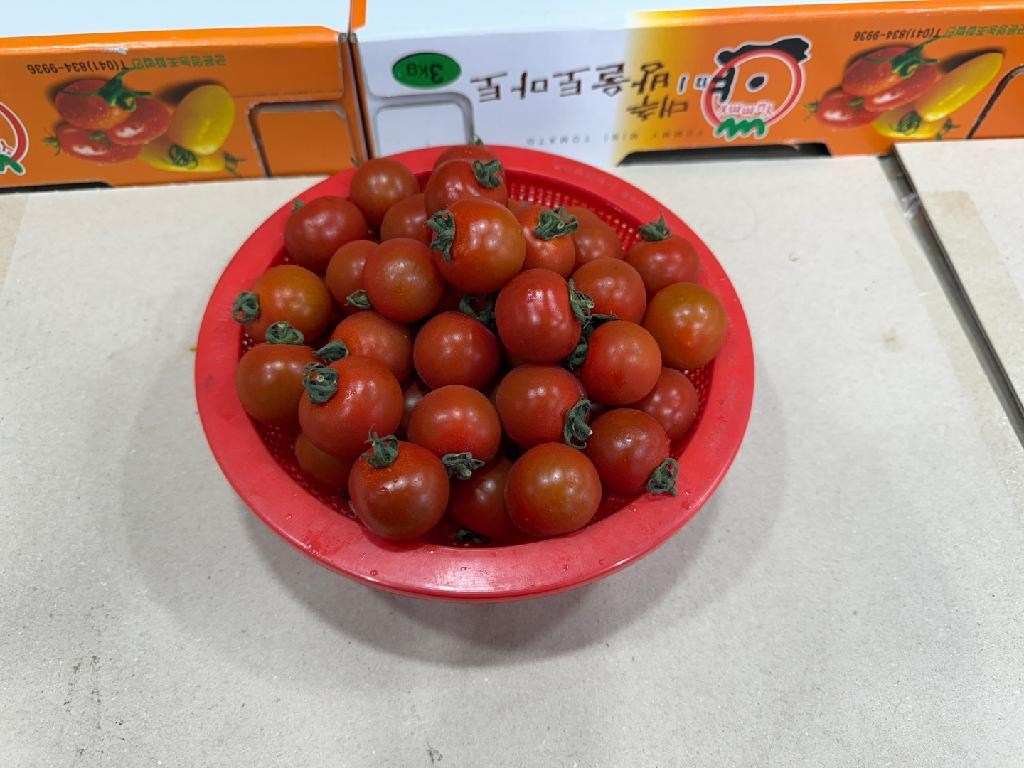 요요방울토마토 배민 장보기∙쇼핑
