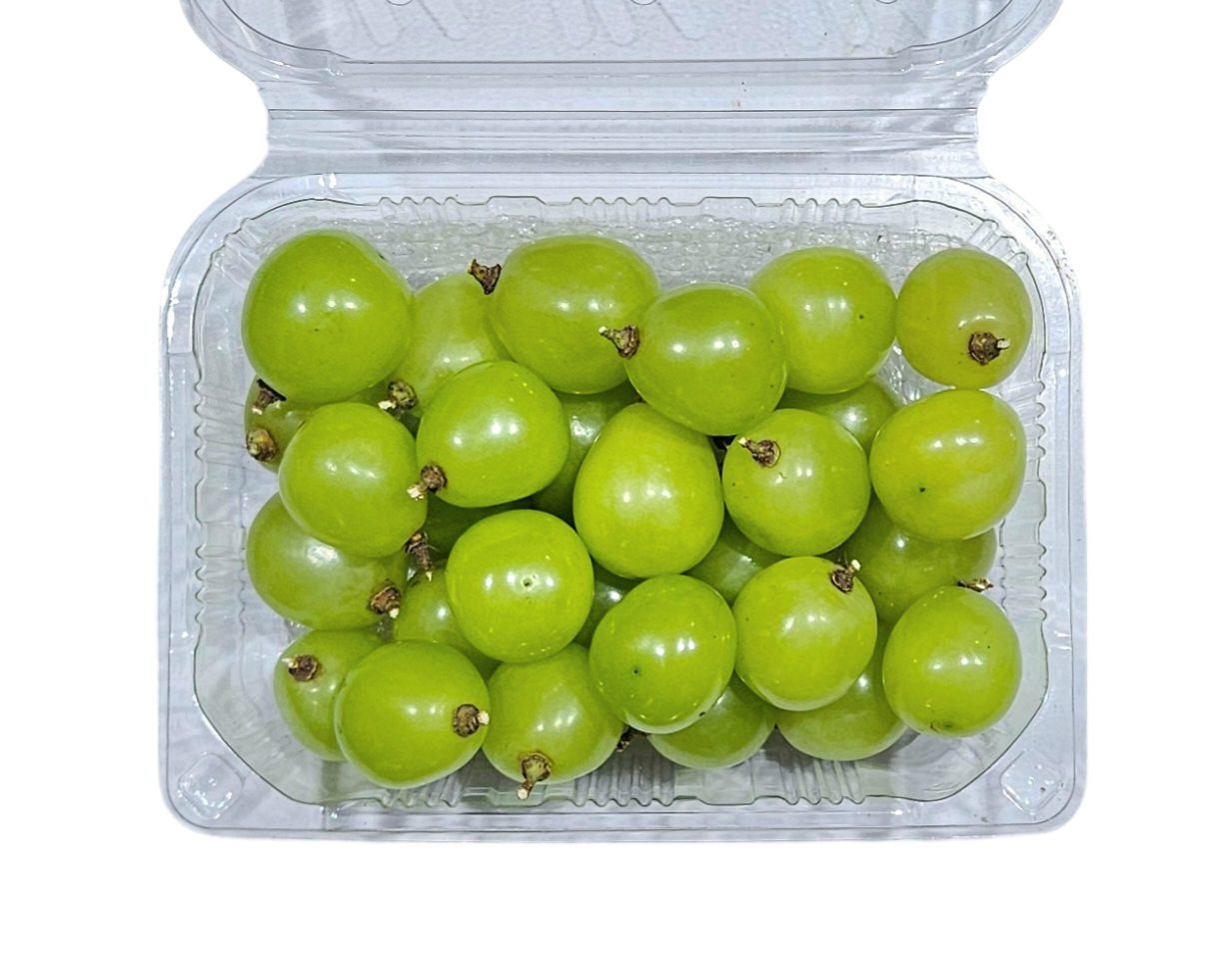 GAP 알알이 샤인머스켓 (1팩/500g) | 배민 장보기∙쇼핑