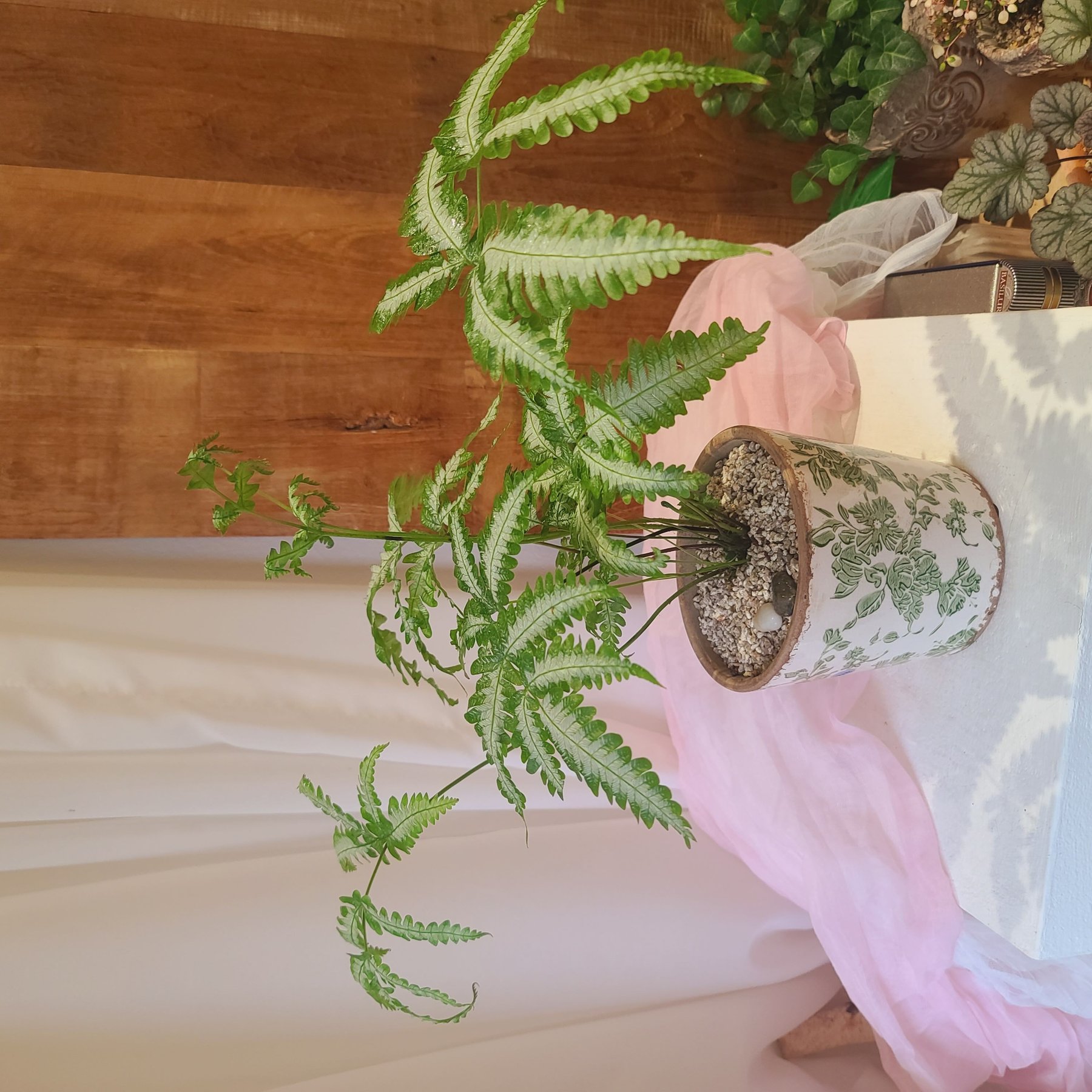 아지리고사리 배민 장보기∙쇼핑