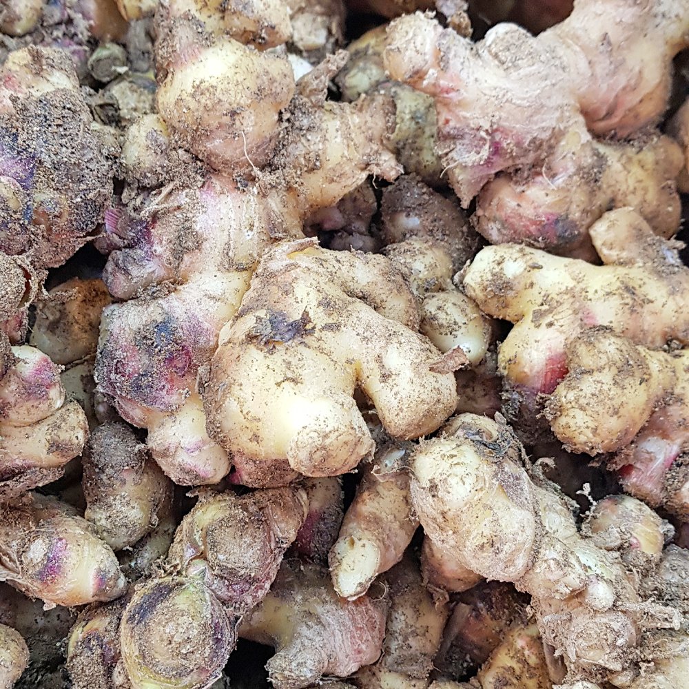 향긋한 영주 생강 1kg 화서 경북상회 배민 장보기∙쇼핑