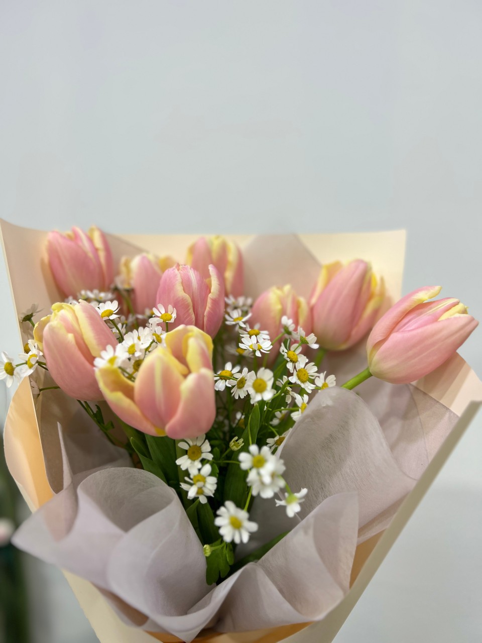 튤립마크리카리아 꽃다발 배민 장보기∙쇼핑
