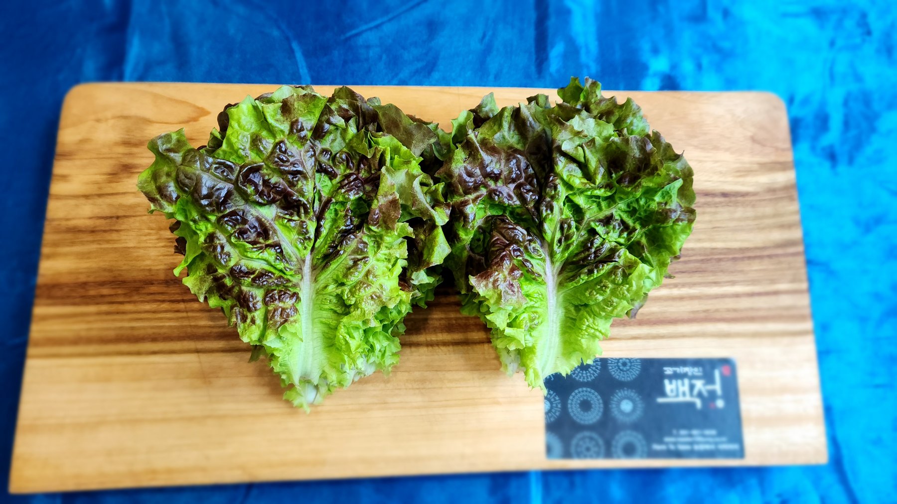 꽃상추 110g 배민 장보기∙쇼핑