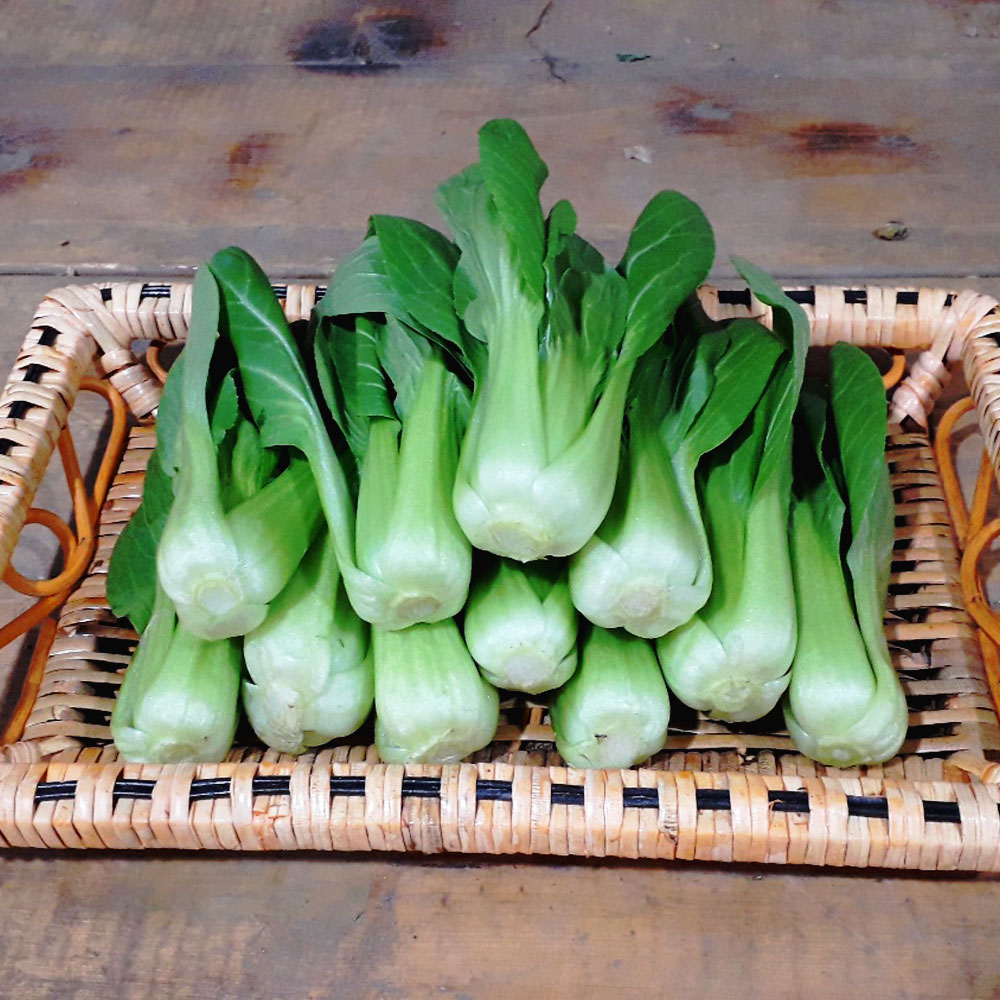 아삭한 청경채 1봉지 한민 호진네야채 배민 장보기∙쇼핑