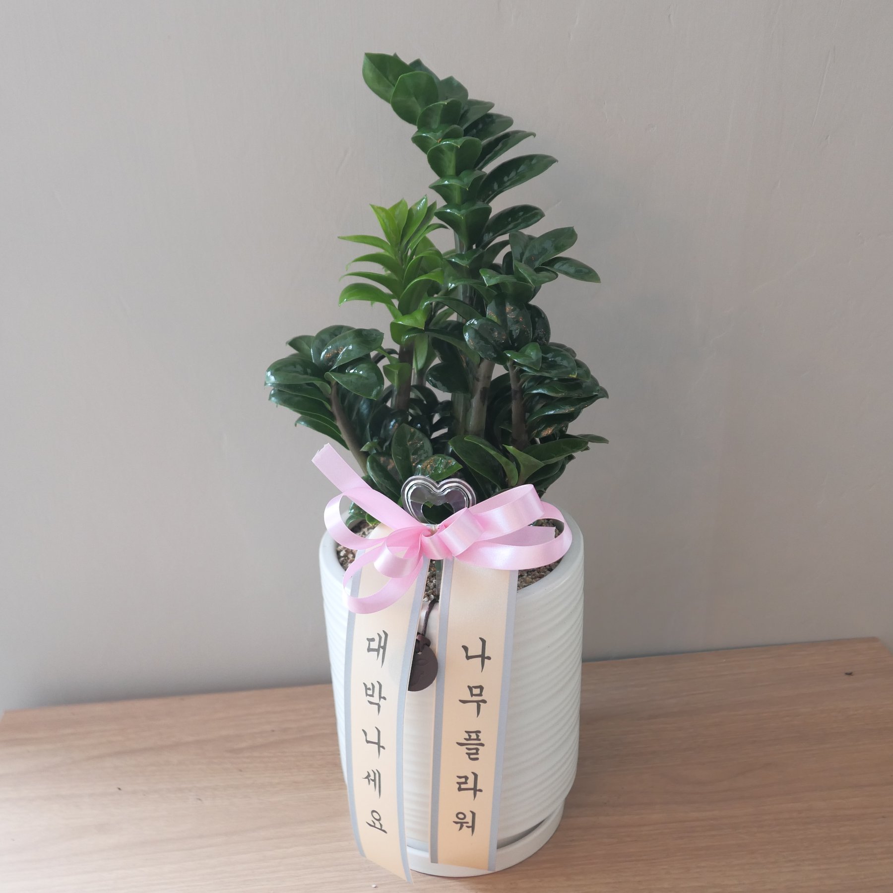 보석금전수리본문구 무료 배민 장보기∙쇼핑
