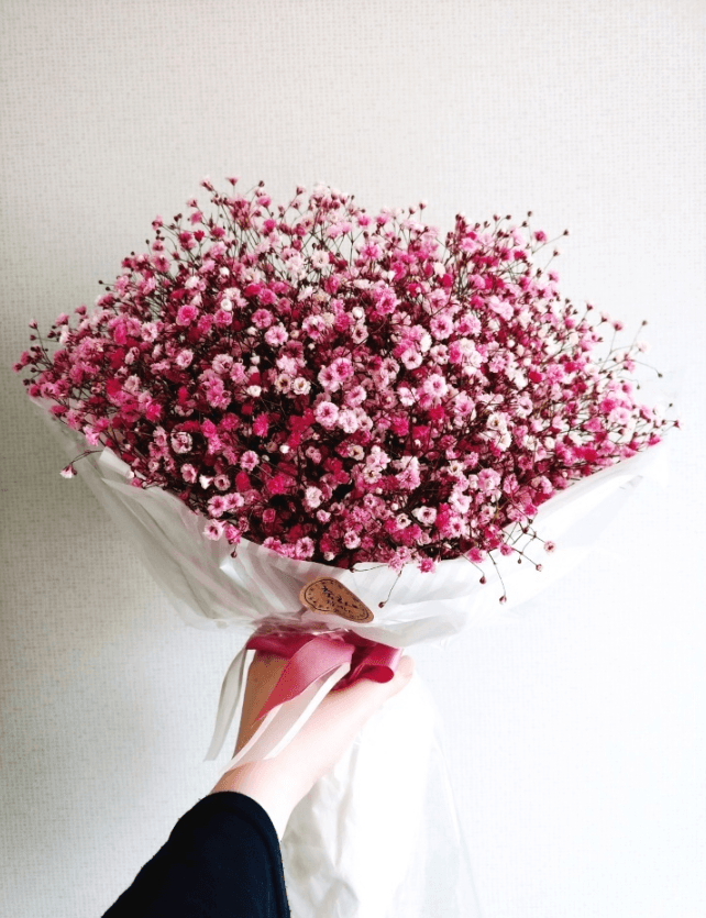 프리저브드 핑크 배민 장보기∙쇼핑