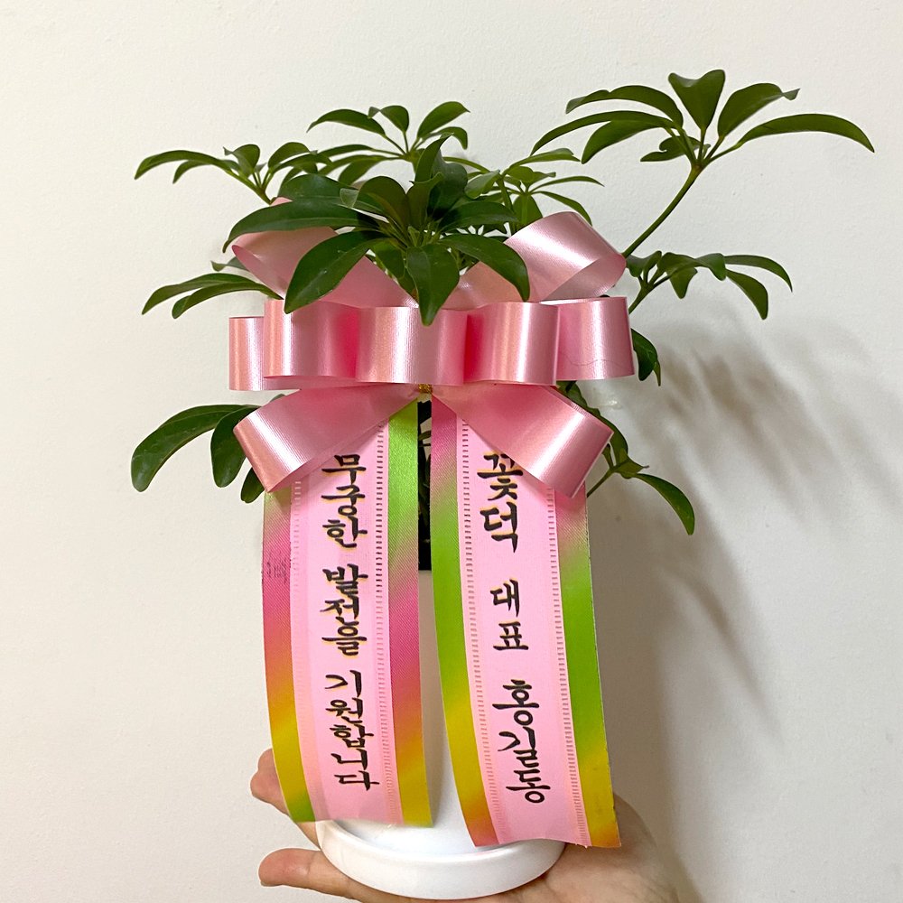 홍콩야자화환set 배민 장보기∙쇼핑