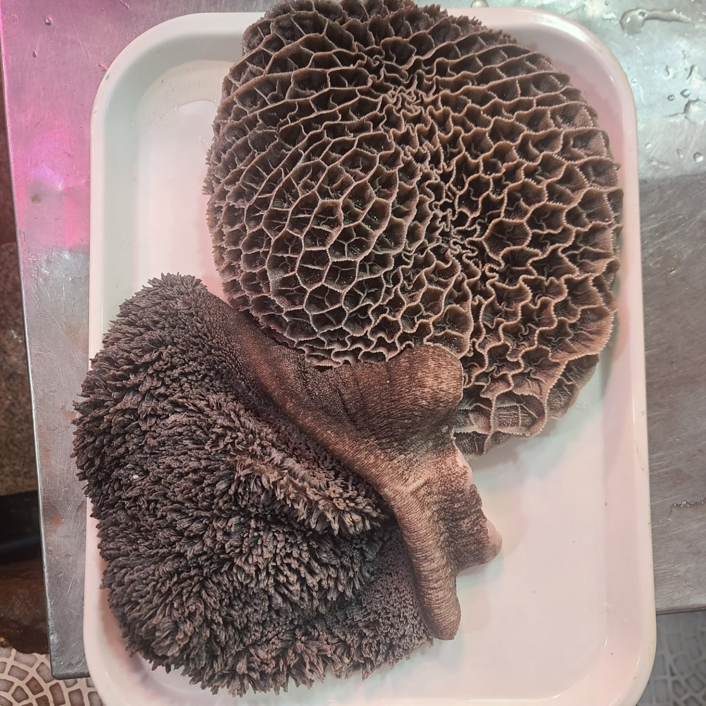 쫄깃하고 품질 좋은 한우 소 벌집 양 600g 꼼장네해물 배민 장보기∙쇼핑