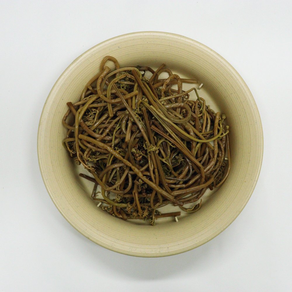 제사 필수나물 고사리 400g 건강야채 배민 장보기∙쇼핑