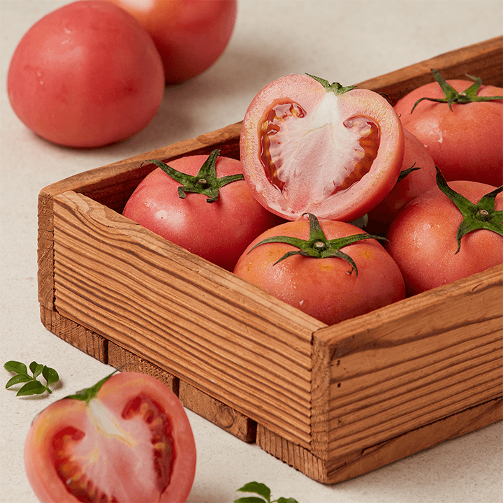 강원찰토마토6~8입팩 배민 장보기∙쇼핑
