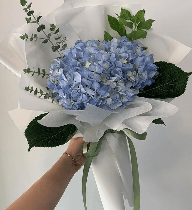 수국한송이 B블루 배민 장보기∙쇼핑