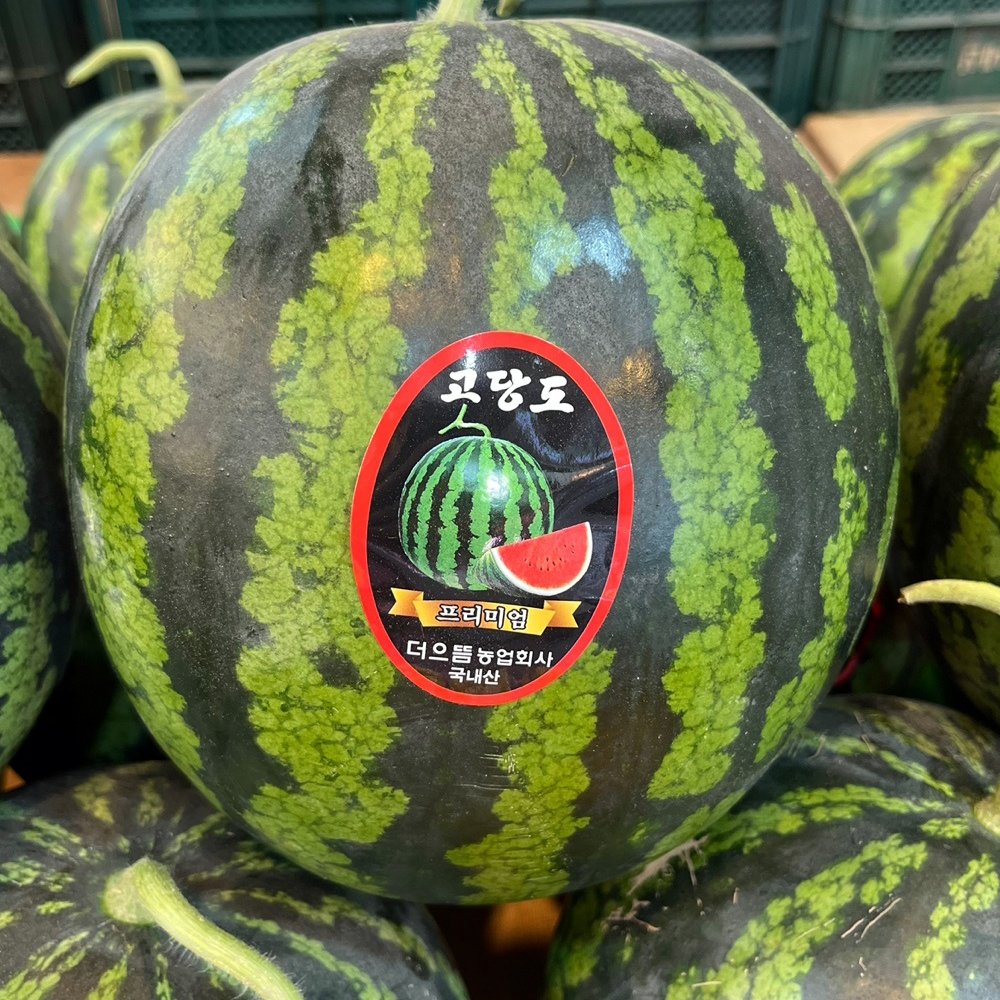 여름과일의 왕 하우스수박 7~8kg 1통 중동 훈훈한과일 배민 장보기∙쇼핑