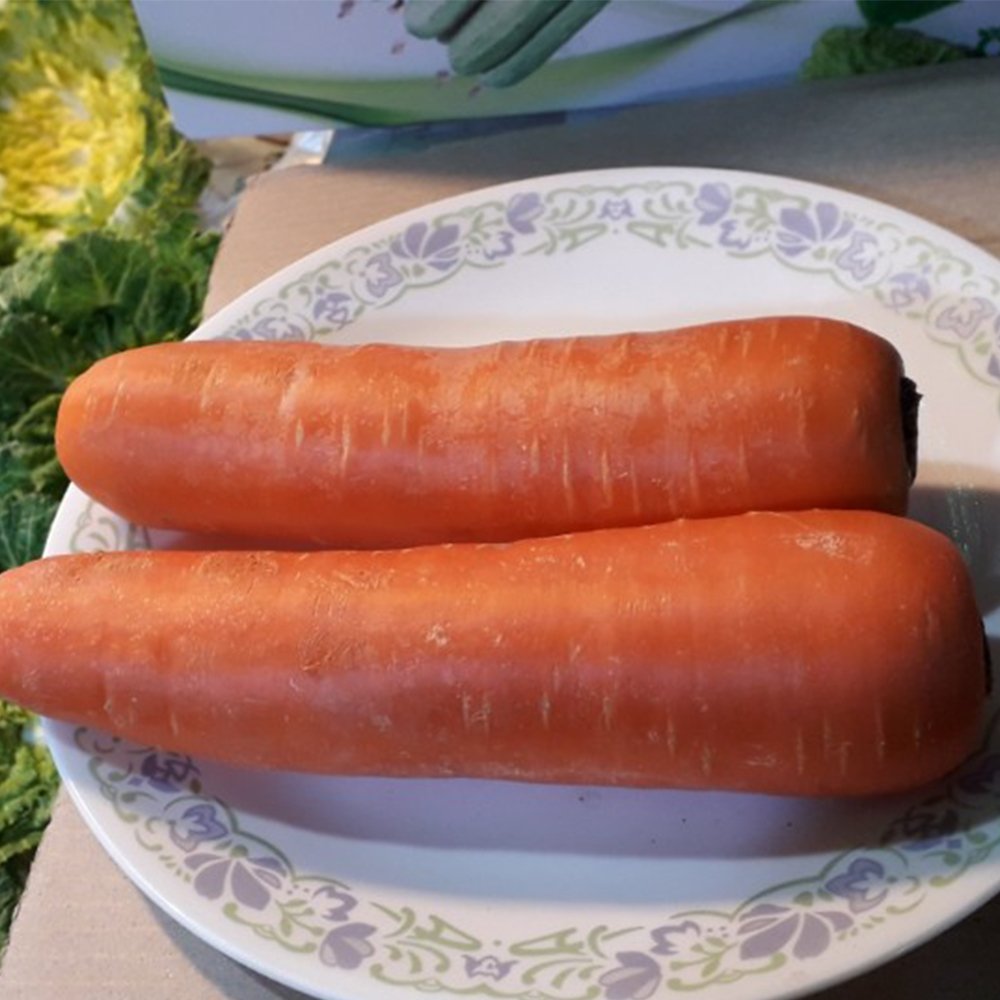 깨끗한 세척 당근 2개 한민 호진네야채 배민 장보기∙쇼핑