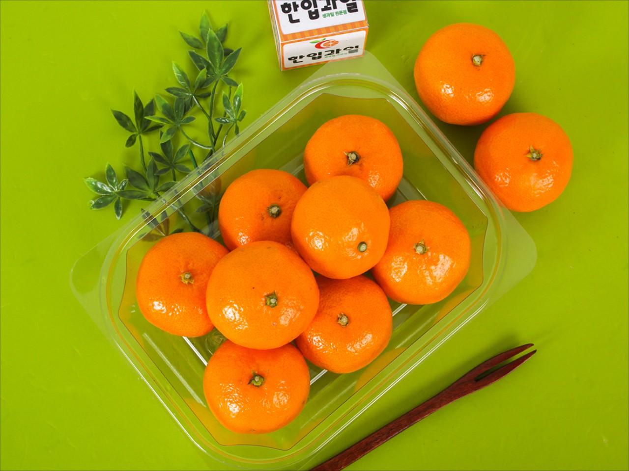 귤 5개 배민 장보기∙쇼핑