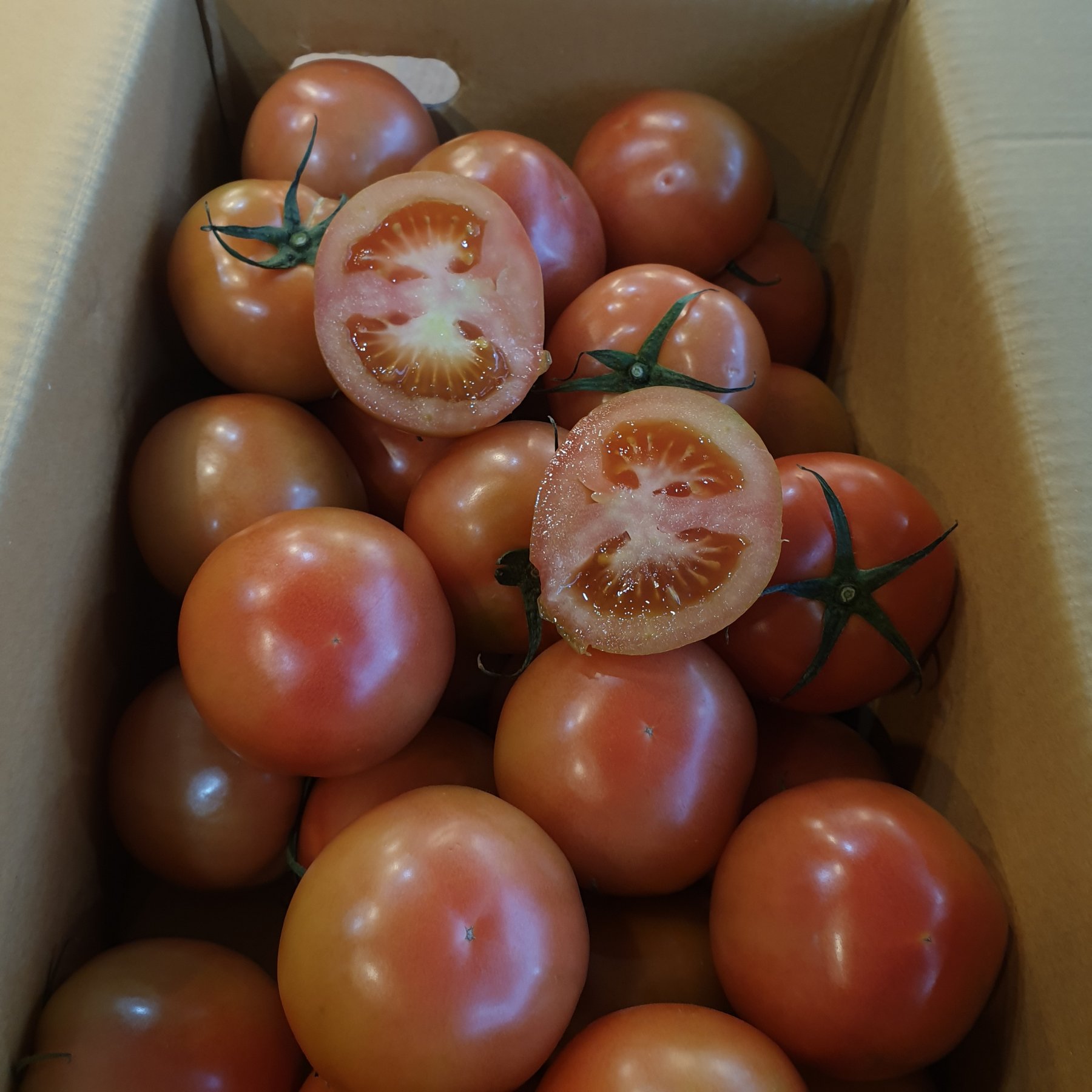 완숙토마토 1kg중과 배민 장보기∙쇼핑