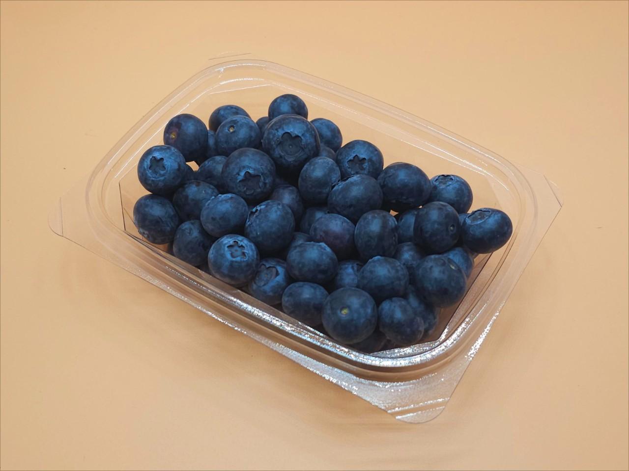 프리미엄 블루베리 100g200g 배민 장보기∙쇼핑