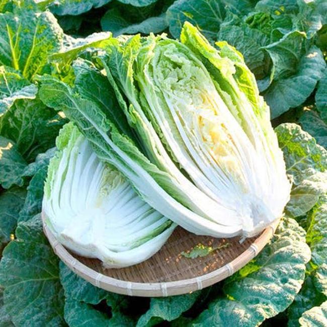 배추3입망 배민 장보기∙쇼핑