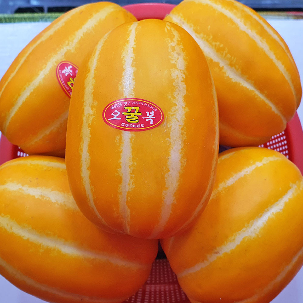 지금이 제철 달콤시원한 참외 3개 중동 중동청과 배민 장보기∙쇼핑