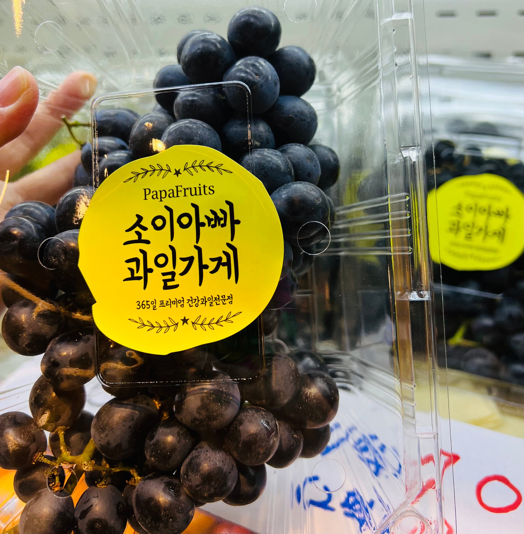 맛있다국산 캠벨포도 3kg한박스 배민 장보기∙쇼핑