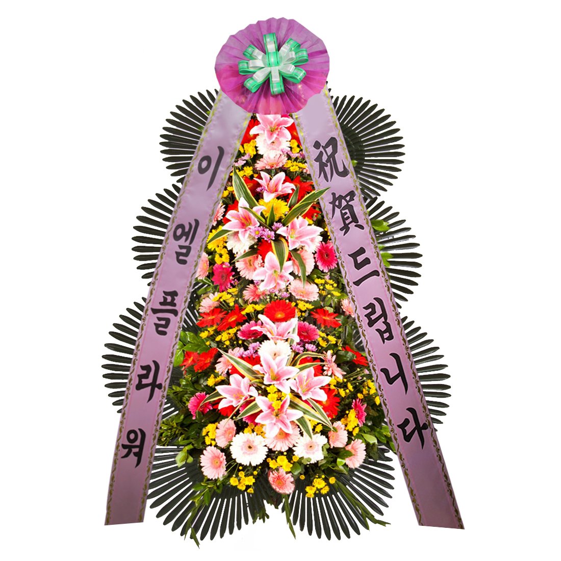 축하화환등록반려배달가능 규격 초과 상품으로 픽업으로 수정 필요 규격가이드 무게 10kg 이하 배달통 크기 85l