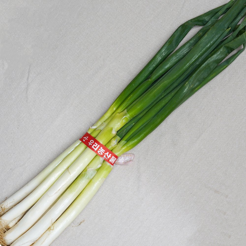 푸릇한 대파 1단 중동 닭이랑 배민 장보기∙쇼핑