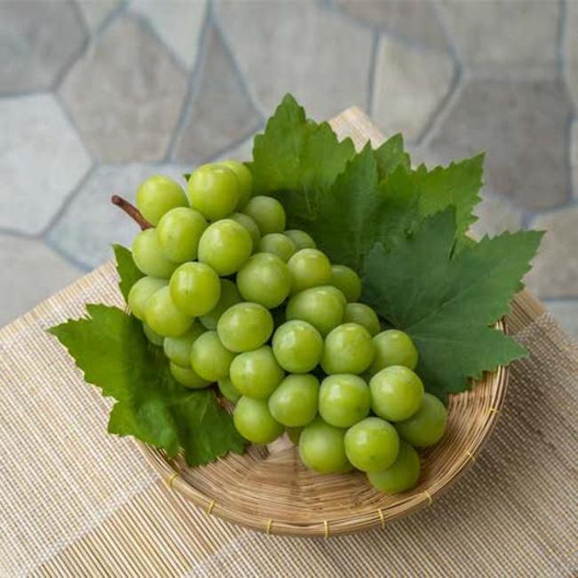 샤인머스캣송이 배민 장보기∙쇼핑