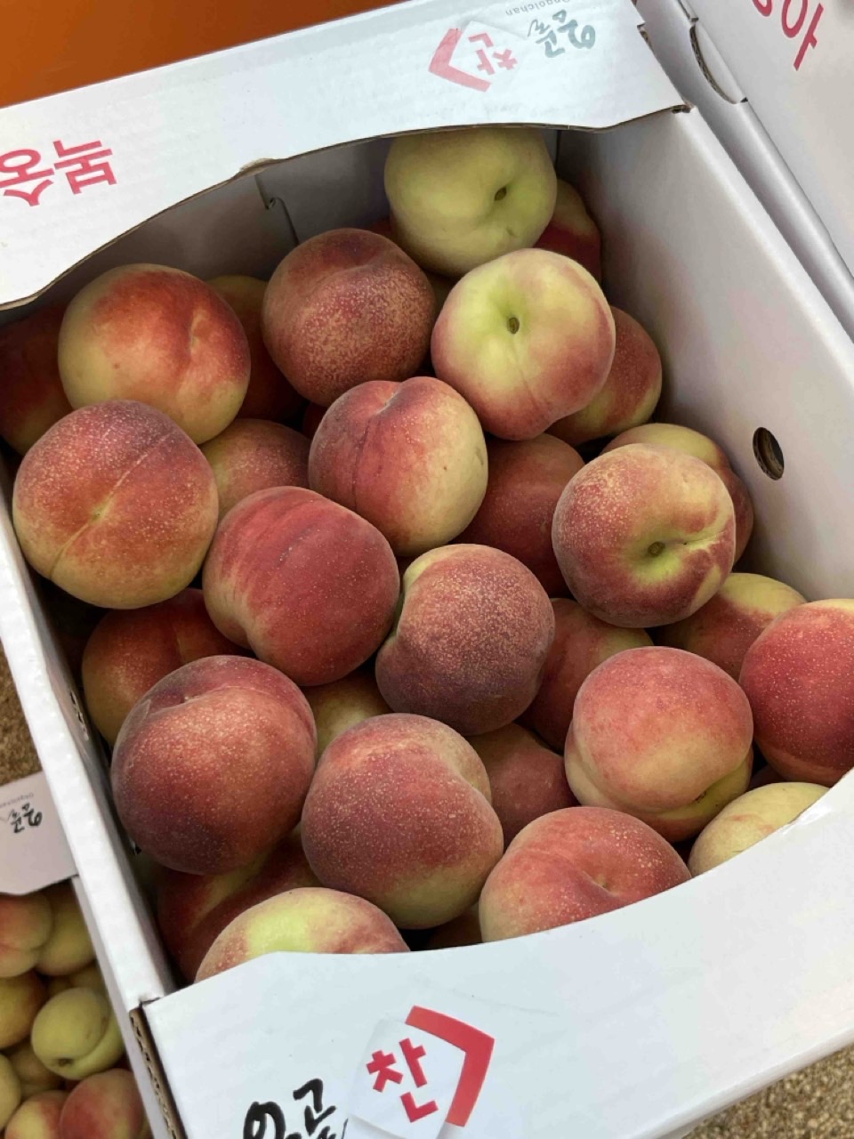 한국판 납작복숭아 대극천 딱딱이 복숭아 한팩 1kg 한박스 3kg 배민 장보기∙쇼핑