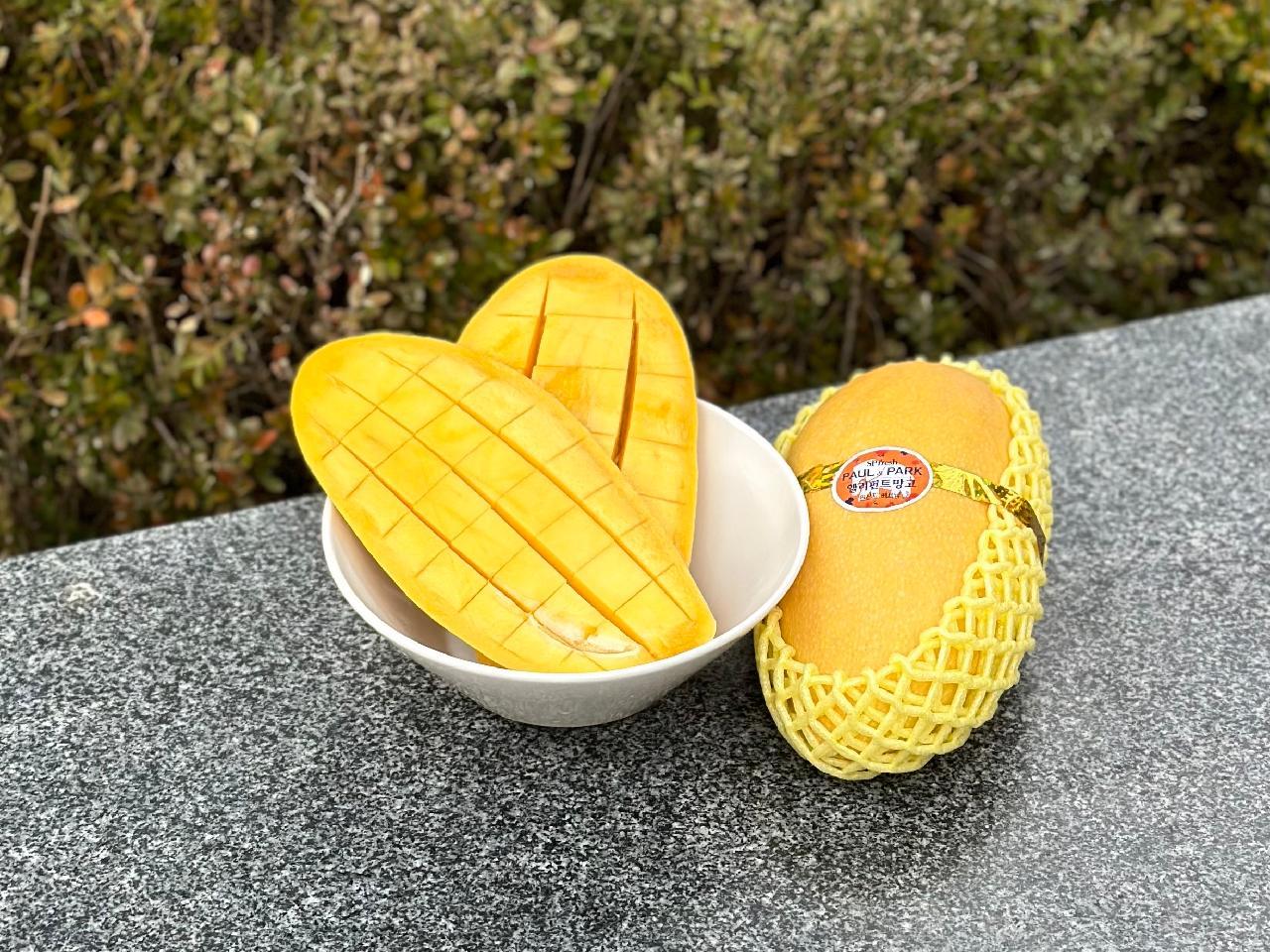 New 코끼리 망고 특대과컷팅반개1개 배민 장보기∙쇼핑