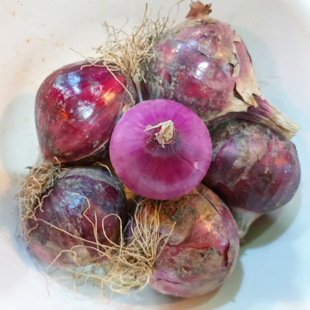 달큰한 적색양파 1kg 한민 호진네야채 배민 장보기∙쇼핑