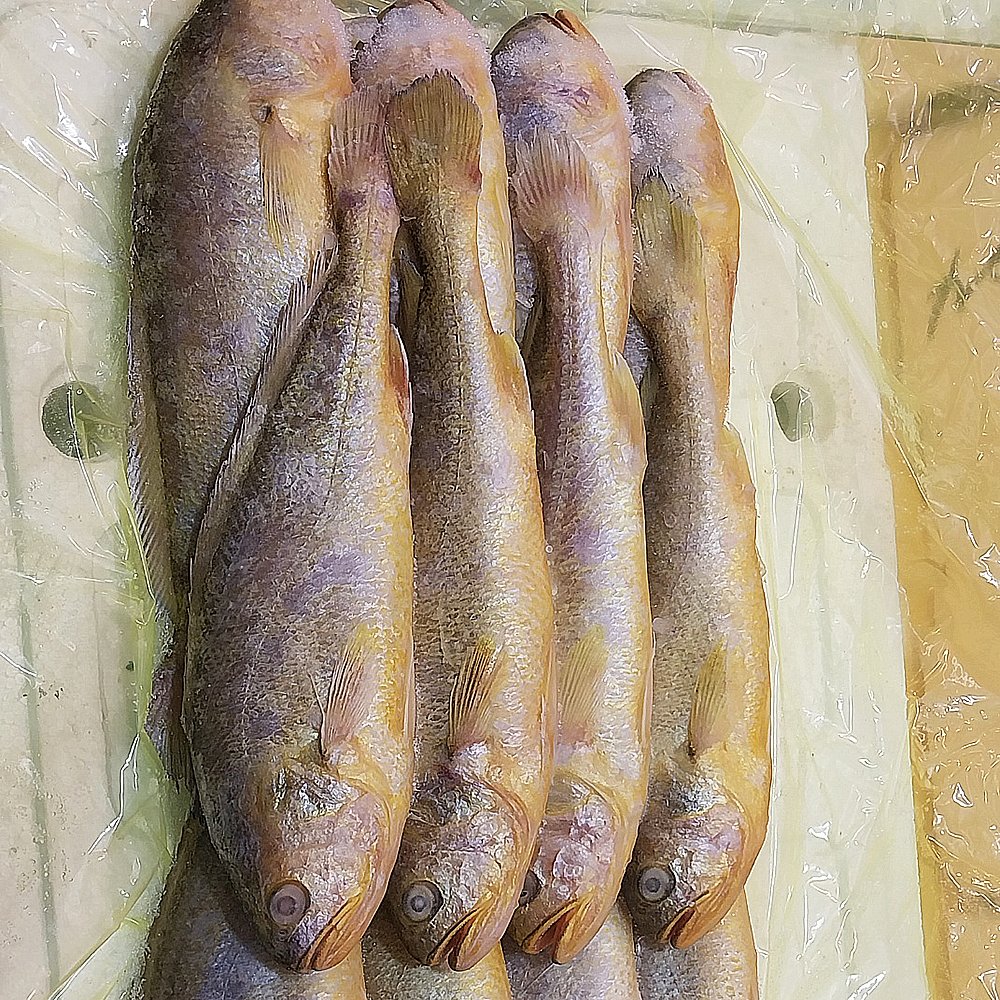 쟁여두고 먹는 냉동 부세조기 소중대 중동 조아수산 배민 장보기∙쇼핑