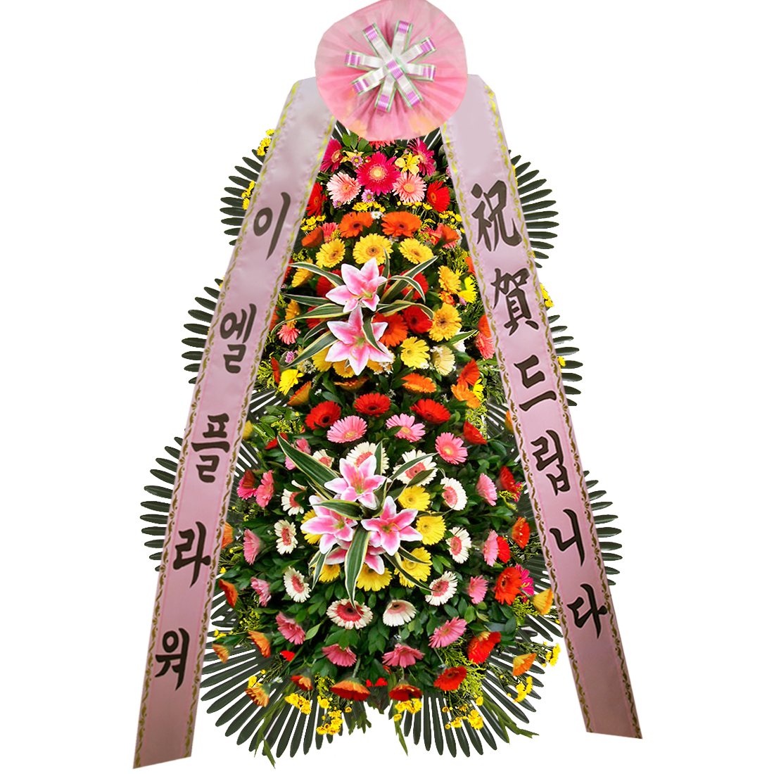 축하 3단 특대b등록반려배달가능 규격 초과 상품으로 픽업으로 수정 필요 배민 장보기∙쇼핑