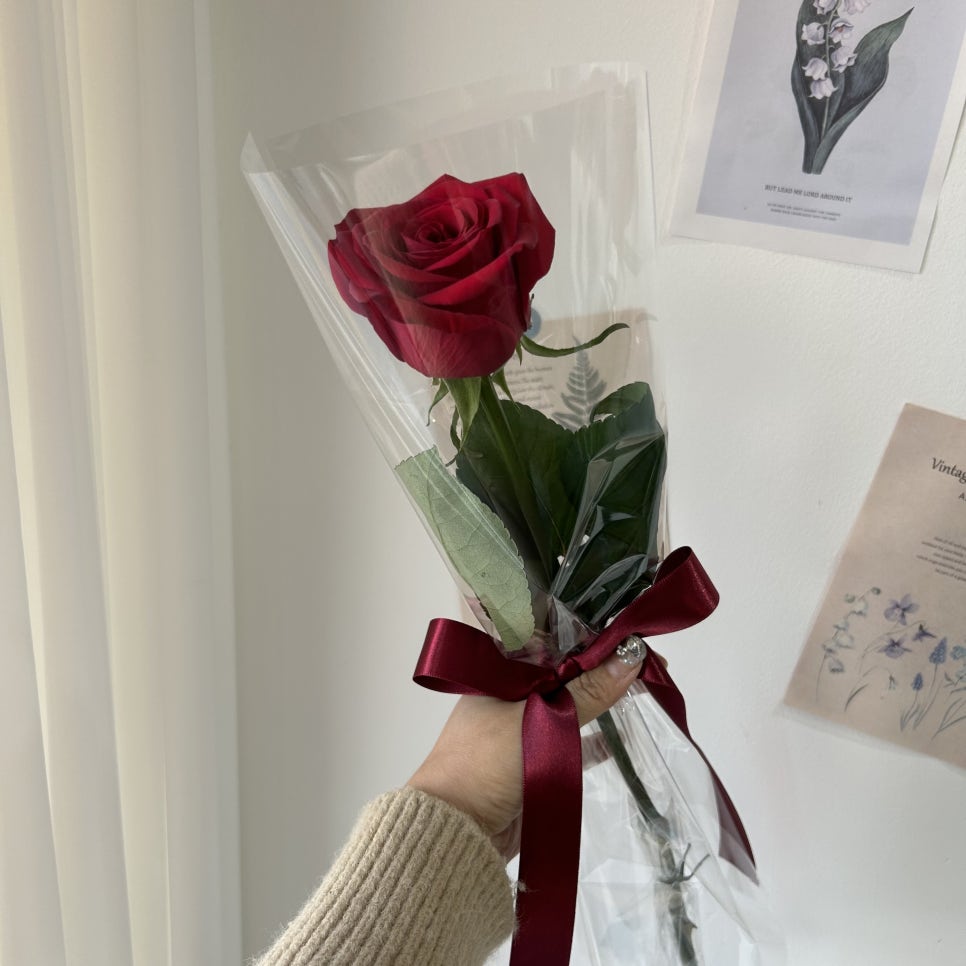 빨간장미 한송이 포장 배민 장보기∙쇼핑