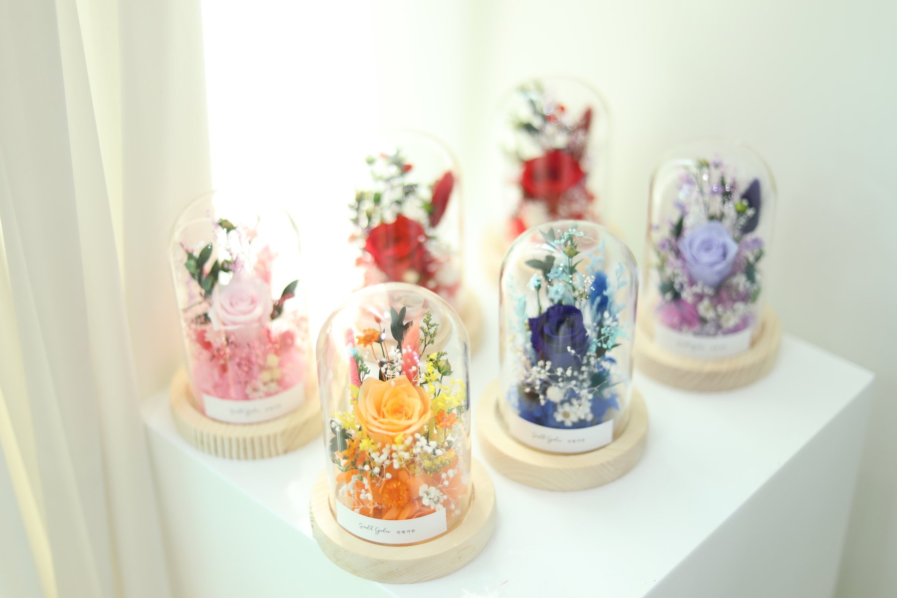 프리저브드 미니유리돔레드 배민 장보기∙쇼핑