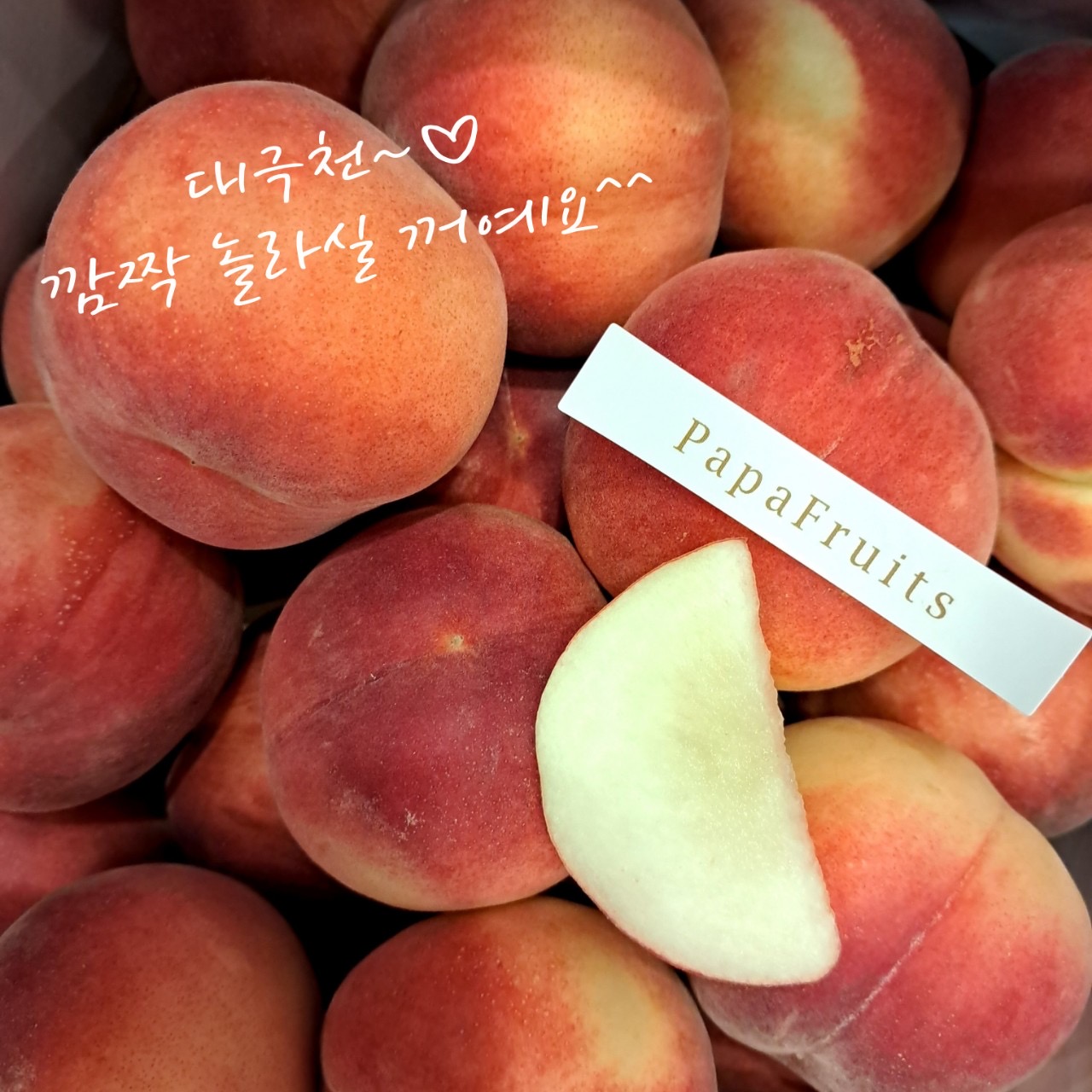 복숭아계 명품 납작복숭아대극천딱딱이 백도 배민 장보기∙쇼핑