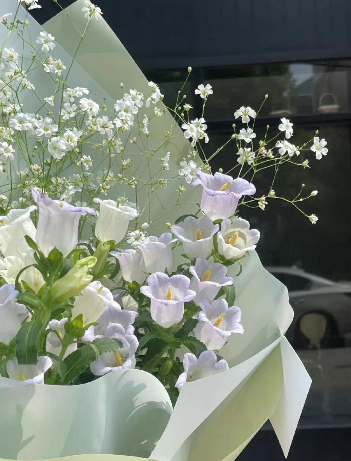 따뜻한 사랑 캄파눌라꽃다발 배민 장보기∙쇼핑