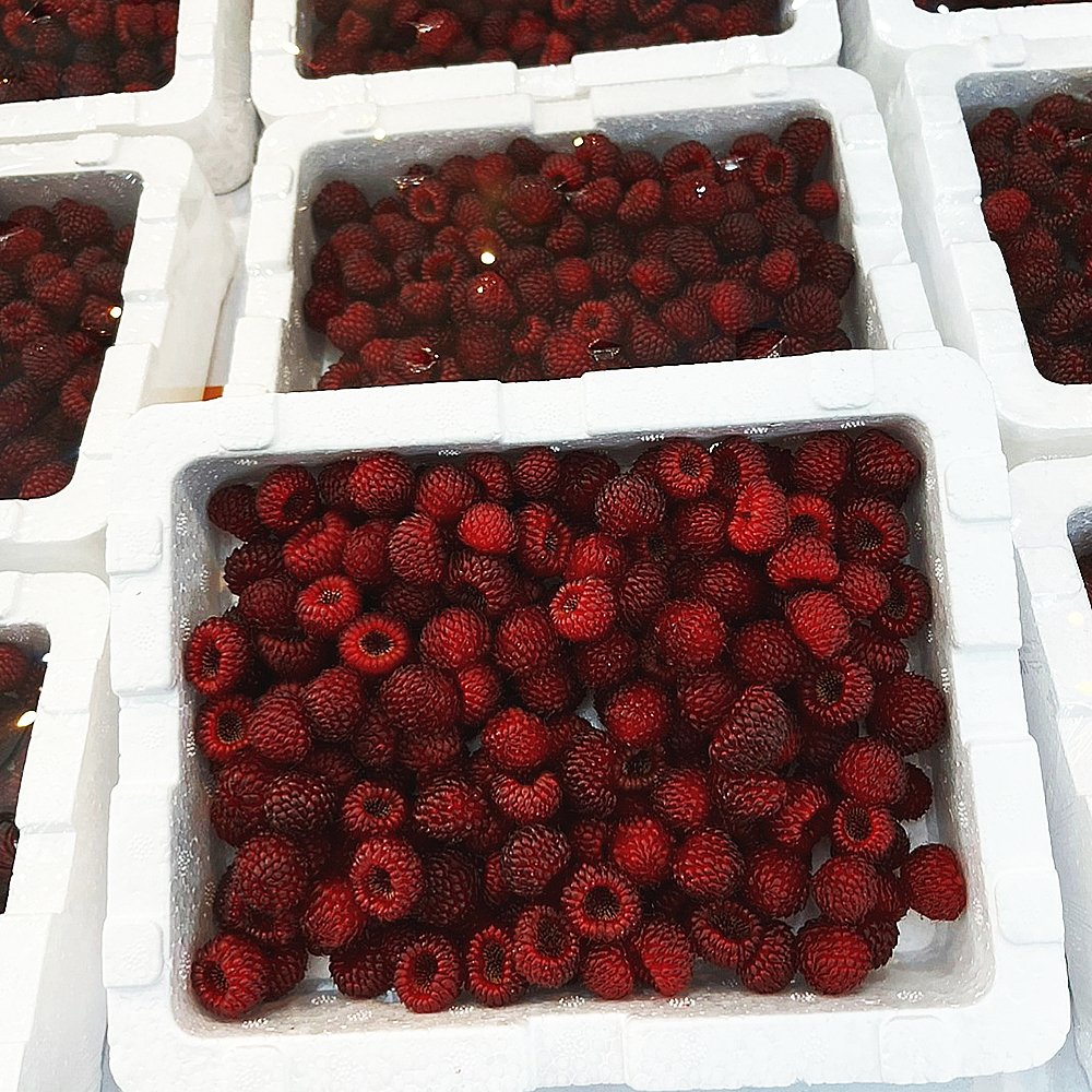 지금만 먹을수 있는 산딸기 500g 중동 훈훈한과일 배민 장보기∙쇼핑