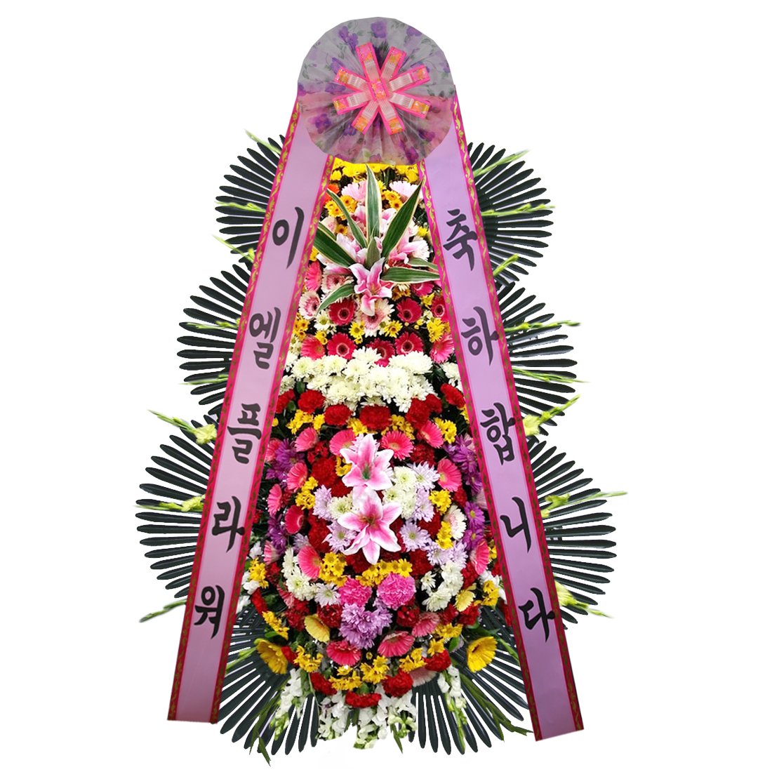 축하 3단 Vip B 등록반려배달가능 규격 초과 상품으로 픽업으로 수정 필요 배민 장보기∙쇼핑