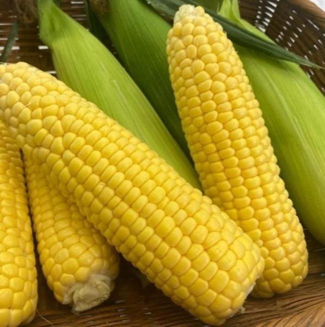 초당옥수수2입망 배민 장보기∙쇼핑