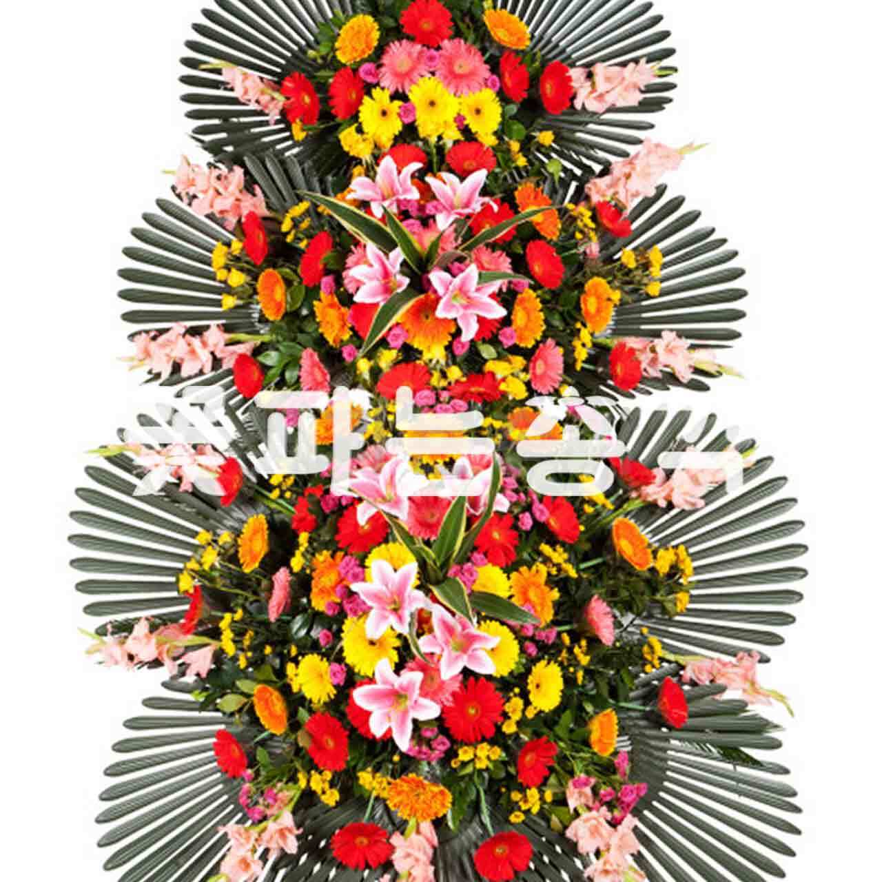 축하화환 3단 특형 배민 장보기∙쇼핑