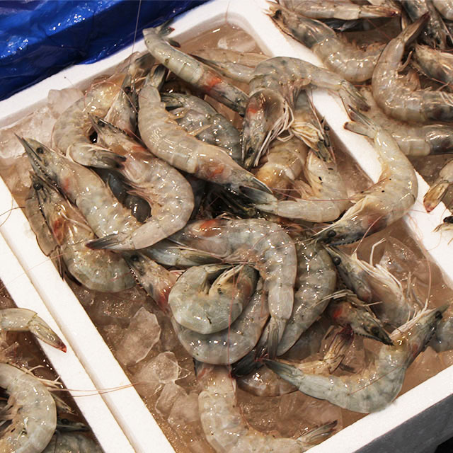 가을 제철 통통한 대하 400g 중동 그린수산 배민 장보기∙쇼핑