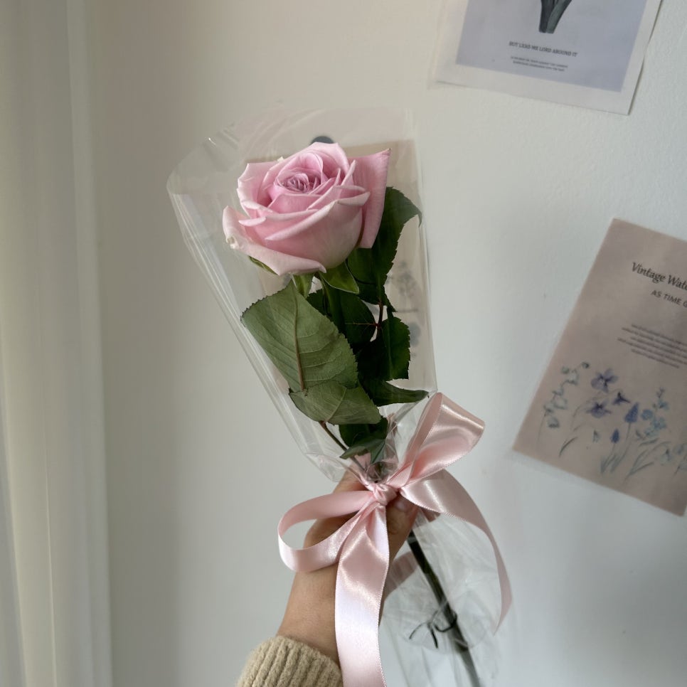 핑크장미 한송이 포장 배민 장보기∙쇼핑