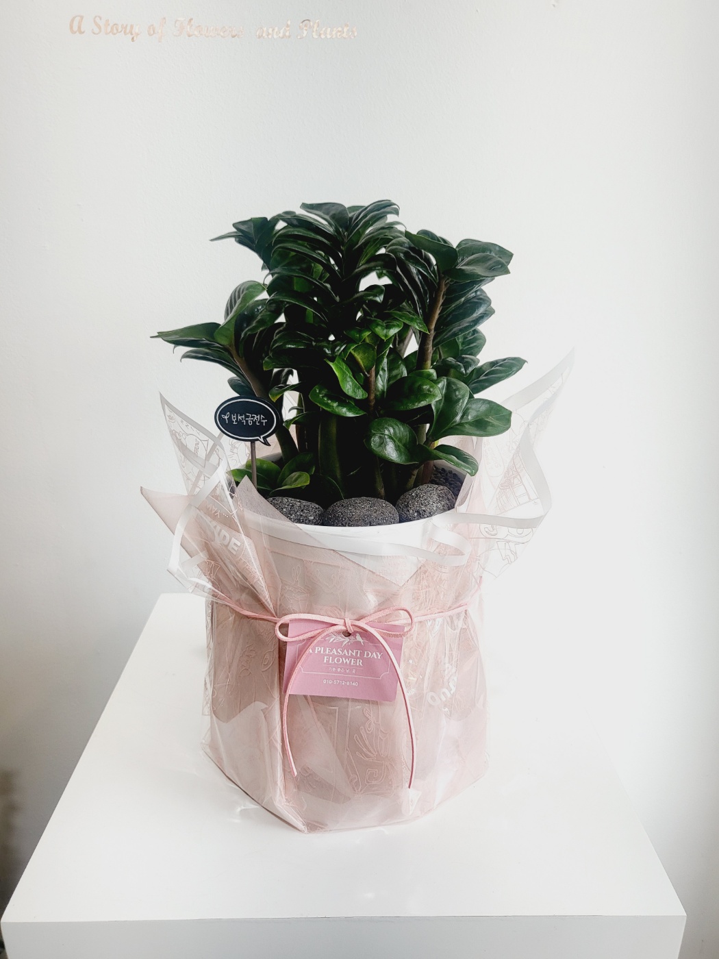 보석금전수 배민 장보기∙쇼핑