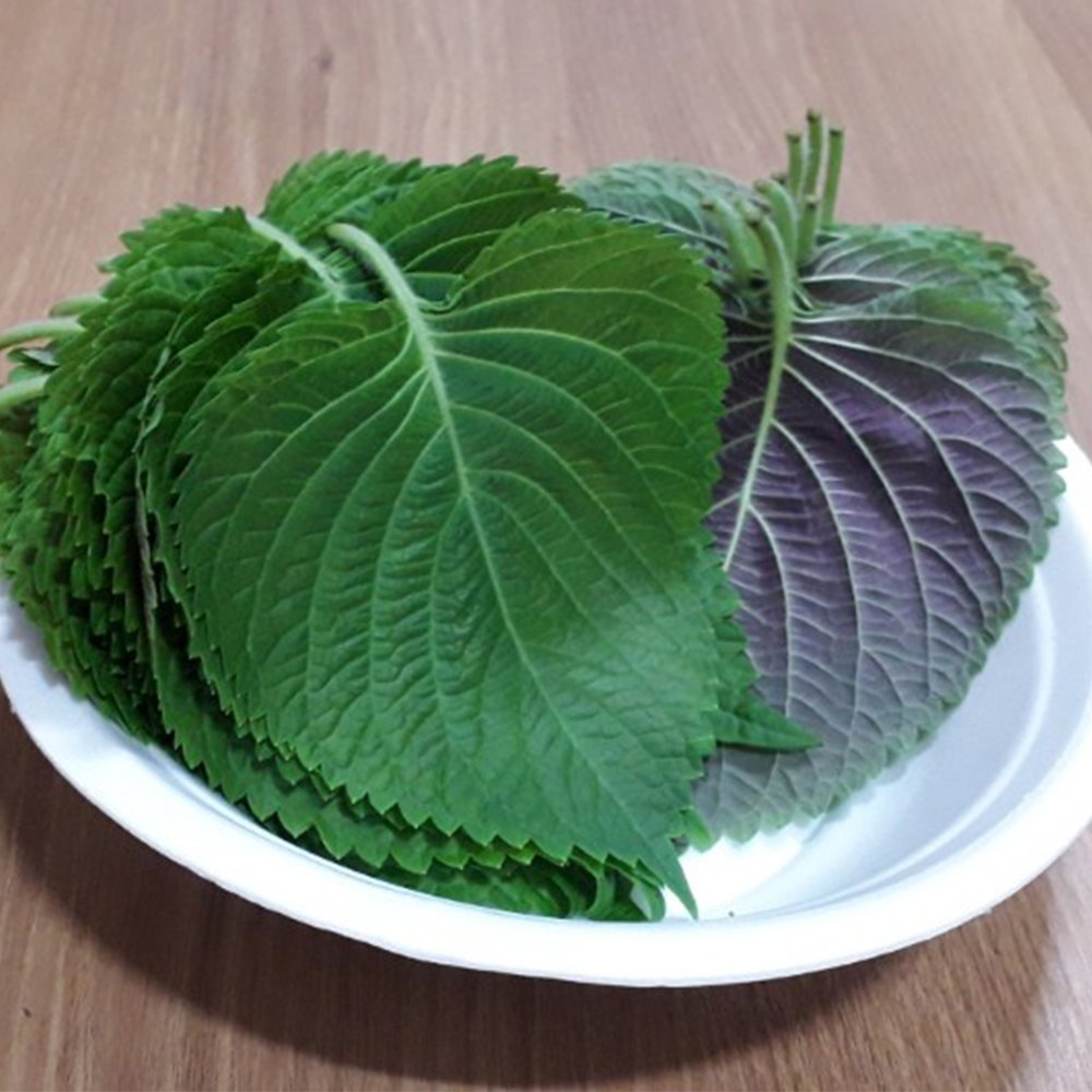 각종 요리에 쓰는 깻잎 1봉 한민 호진네야채 배민 장보기∙쇼핑