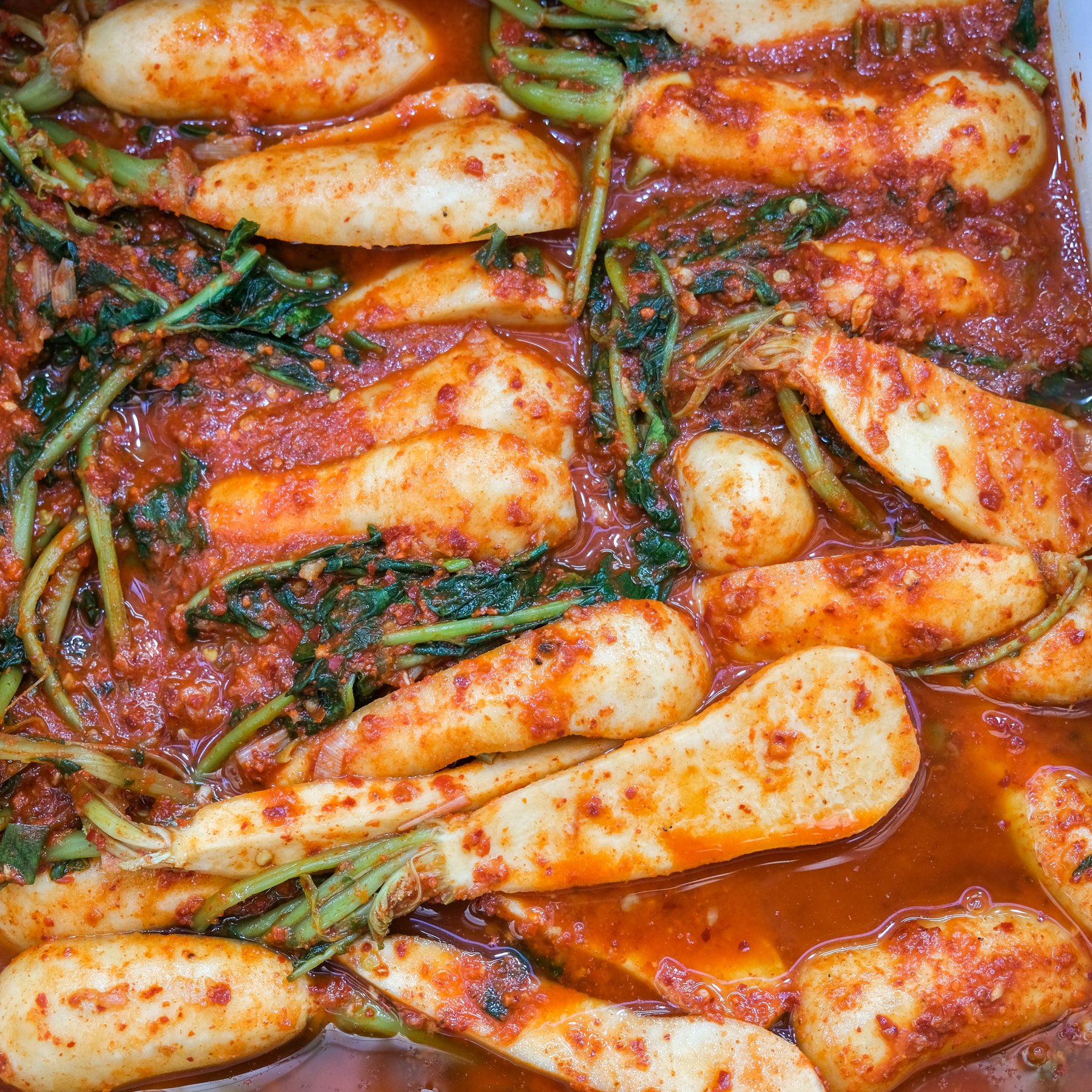 꿀맛 밥도둑김치 알타리김치 1kg 한민 항아리반찬 배민 장보기∙쇼핑