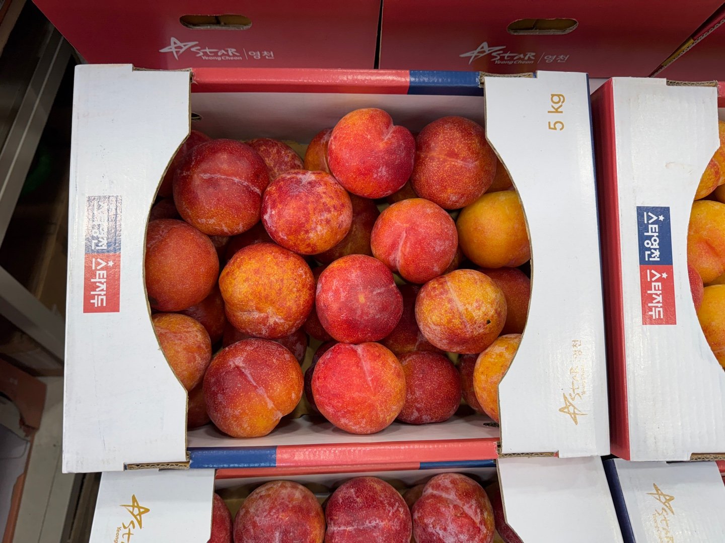 추희 자두 왕특 5kg 1box | 배민 장보기∙쇼핑