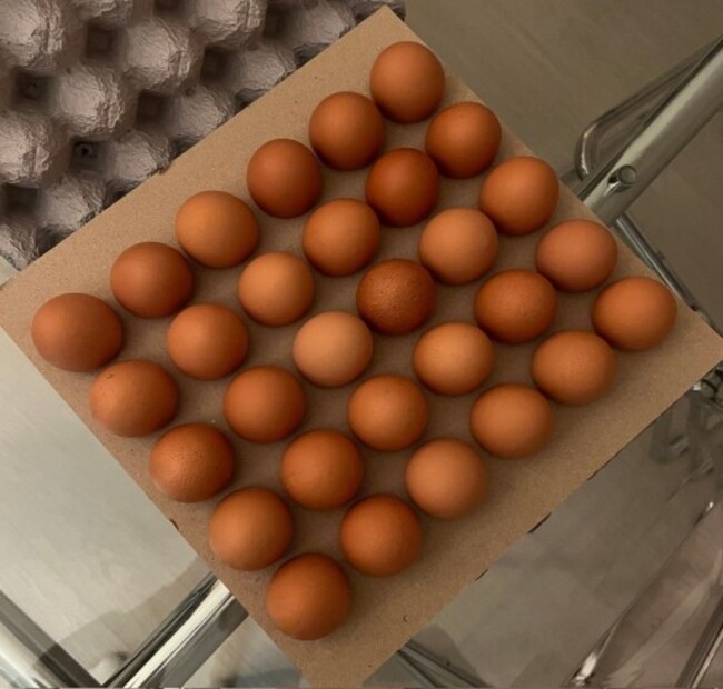 계란 한 판 특란 배민 장보기∙쇼핑