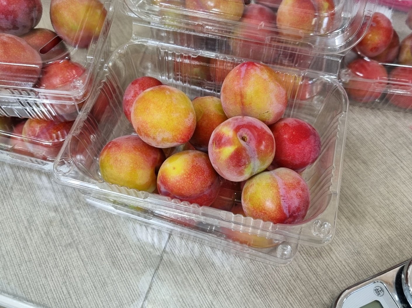 새콤달콤 하우스 자두자두500g1팩 2팩 배민 장보기∙쇼핑