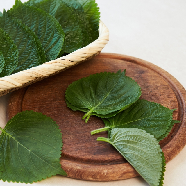 깻잎친환경 20장 배민 장보기∙쇼핑